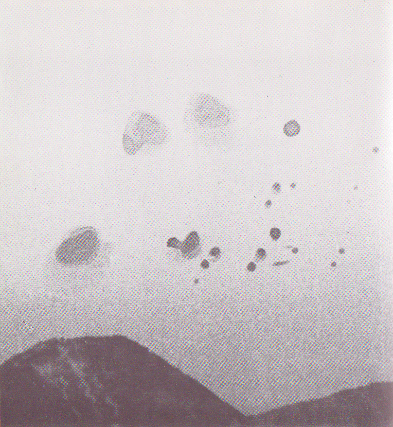 Eye into the Ethers | Borderland Sciences Catalog